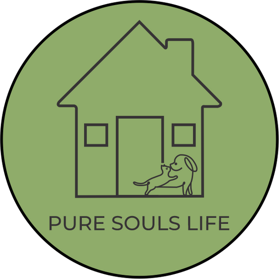 Shop Now – Pure Souls Life